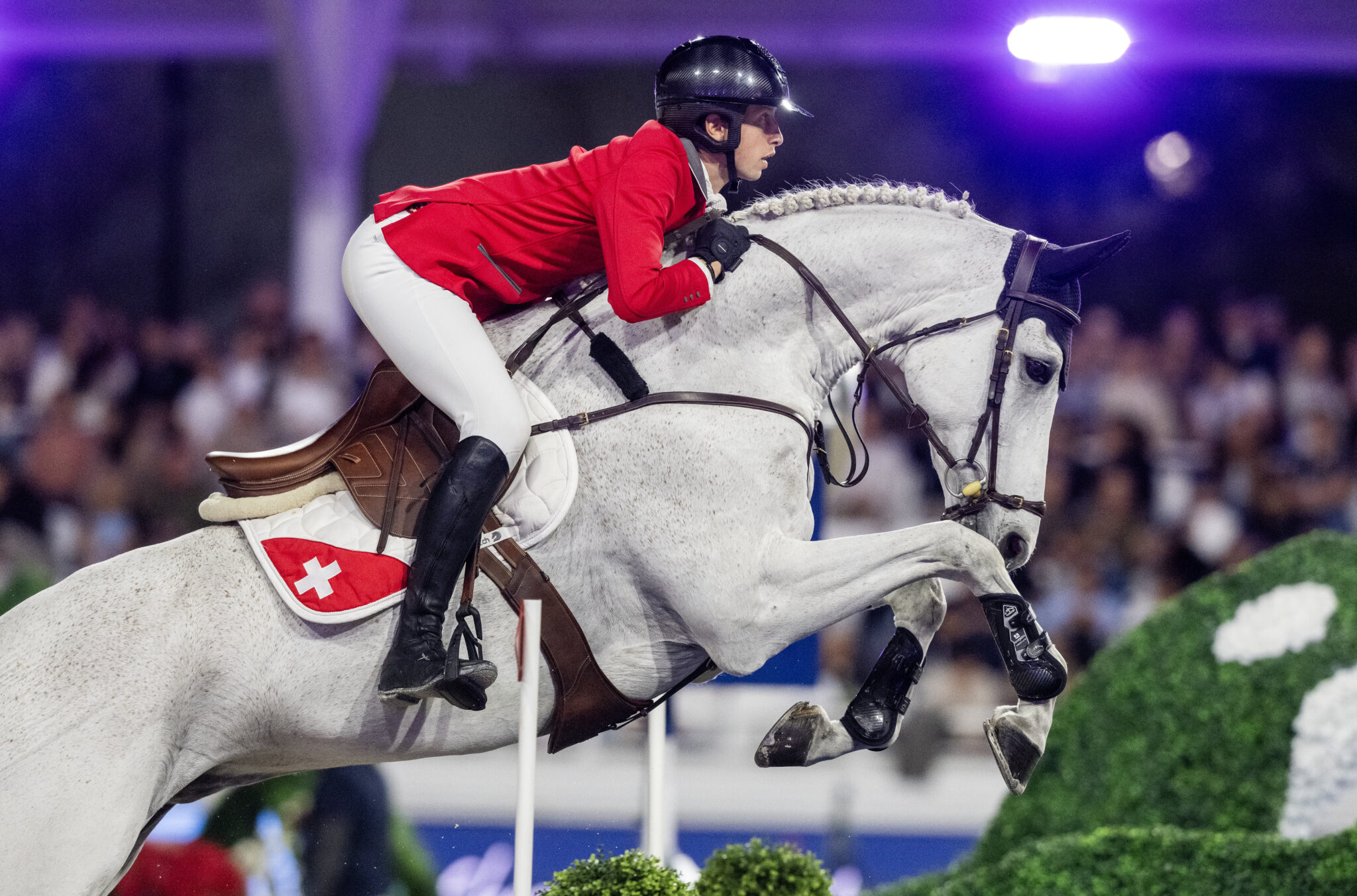 Snowball the Pony’s Five Favorite Things About the Apocalypse