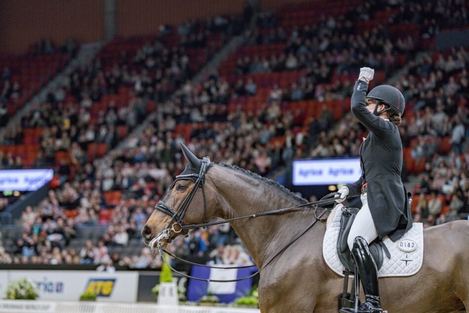 5 Things to Know About George Washington's Horse "Nelson"