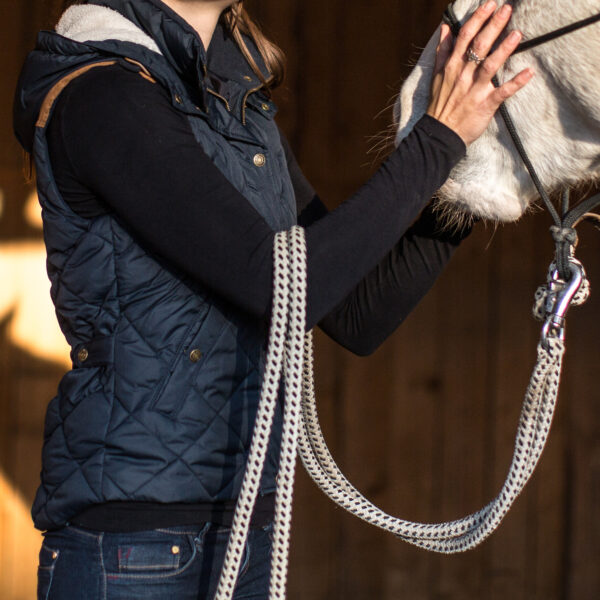 Holy Roller: The Biggest Racehorse Ever