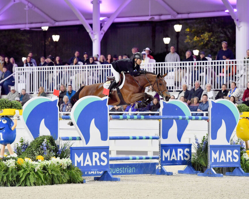 The Essential History of Show Jumping
