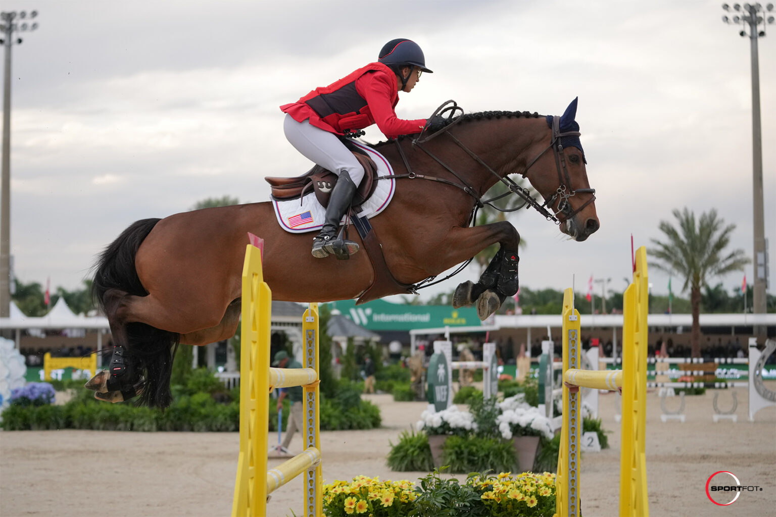 Top 10 Most Exciting Horses to Watch in Show Jumping Right Now