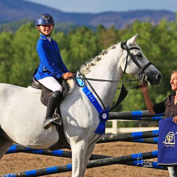 Daydreams of Horse Training