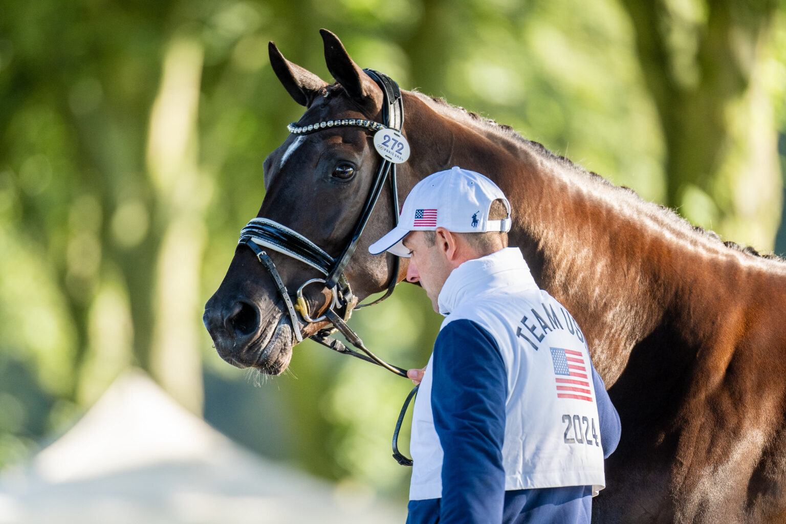 The Main Types of Horse Personalities