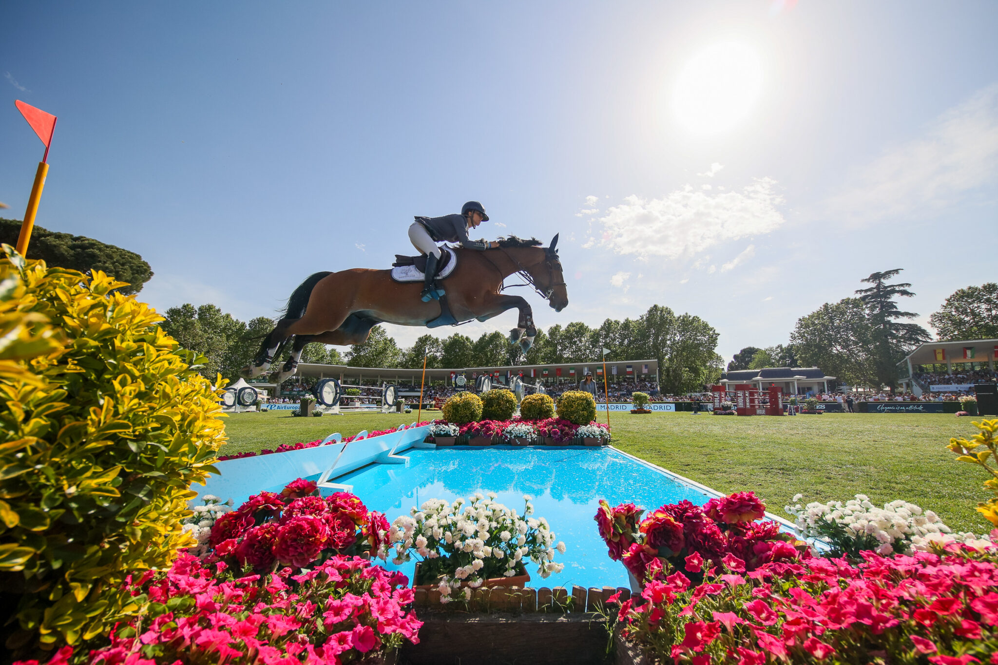 Ioli Mytilineou Is Starting to Believe