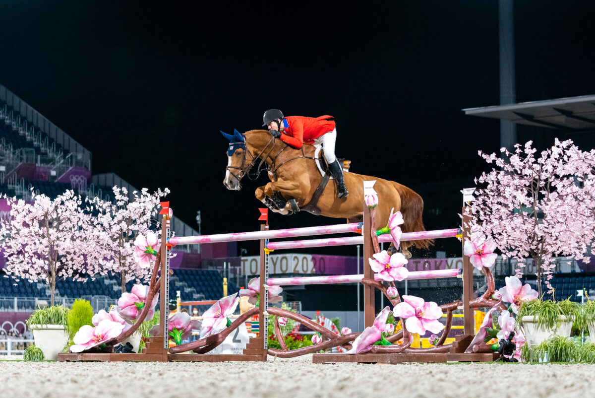 16 Fascinating Facts About Horse Digestion