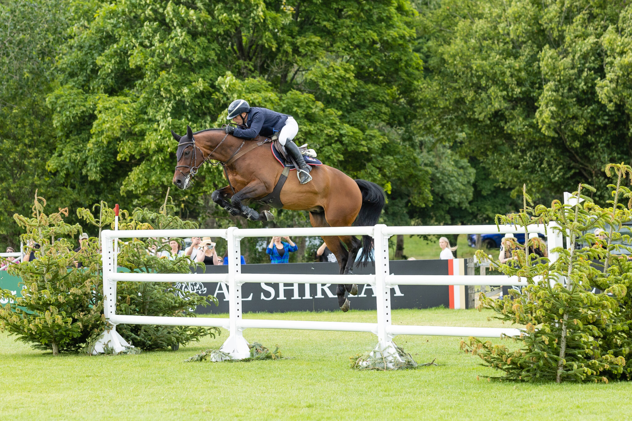 Robert Whitaker & Gentleman VD Veldhof Execute the Plan at Hickstead