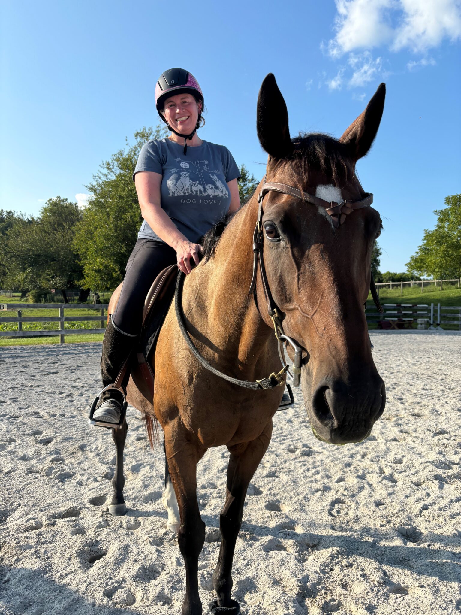 OTTB Mare Hometown Halsey Gets a Fresh Start