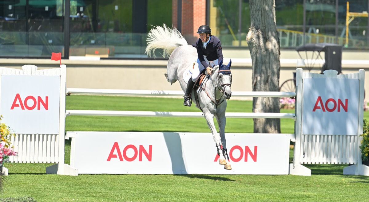 Matthew Sampson: From Ponies to Podiums