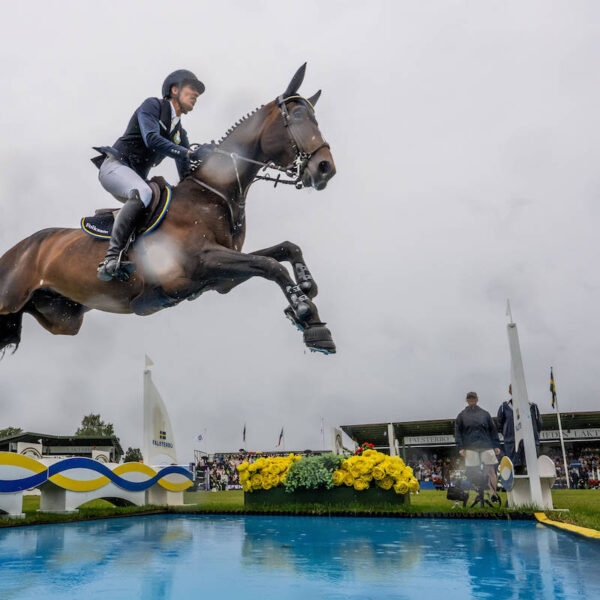 Master Canter Transitions and Controlled Turns with the 3s and 5s Exercise