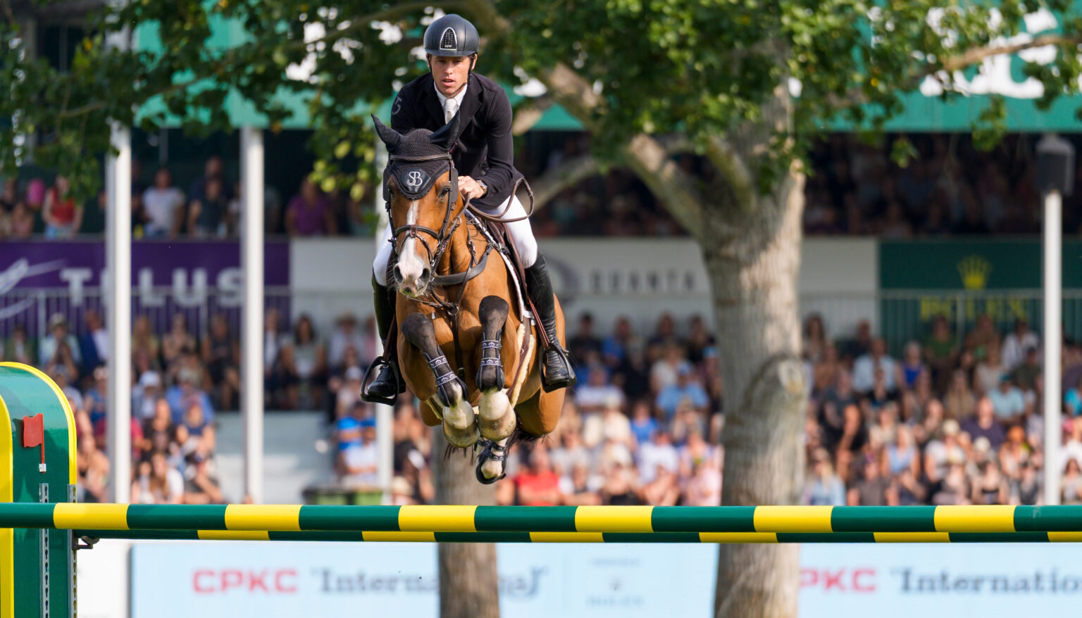 What That Whinny Means