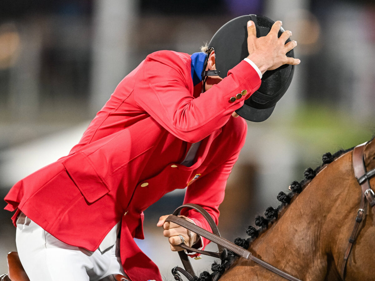 Currying Combs and Favor