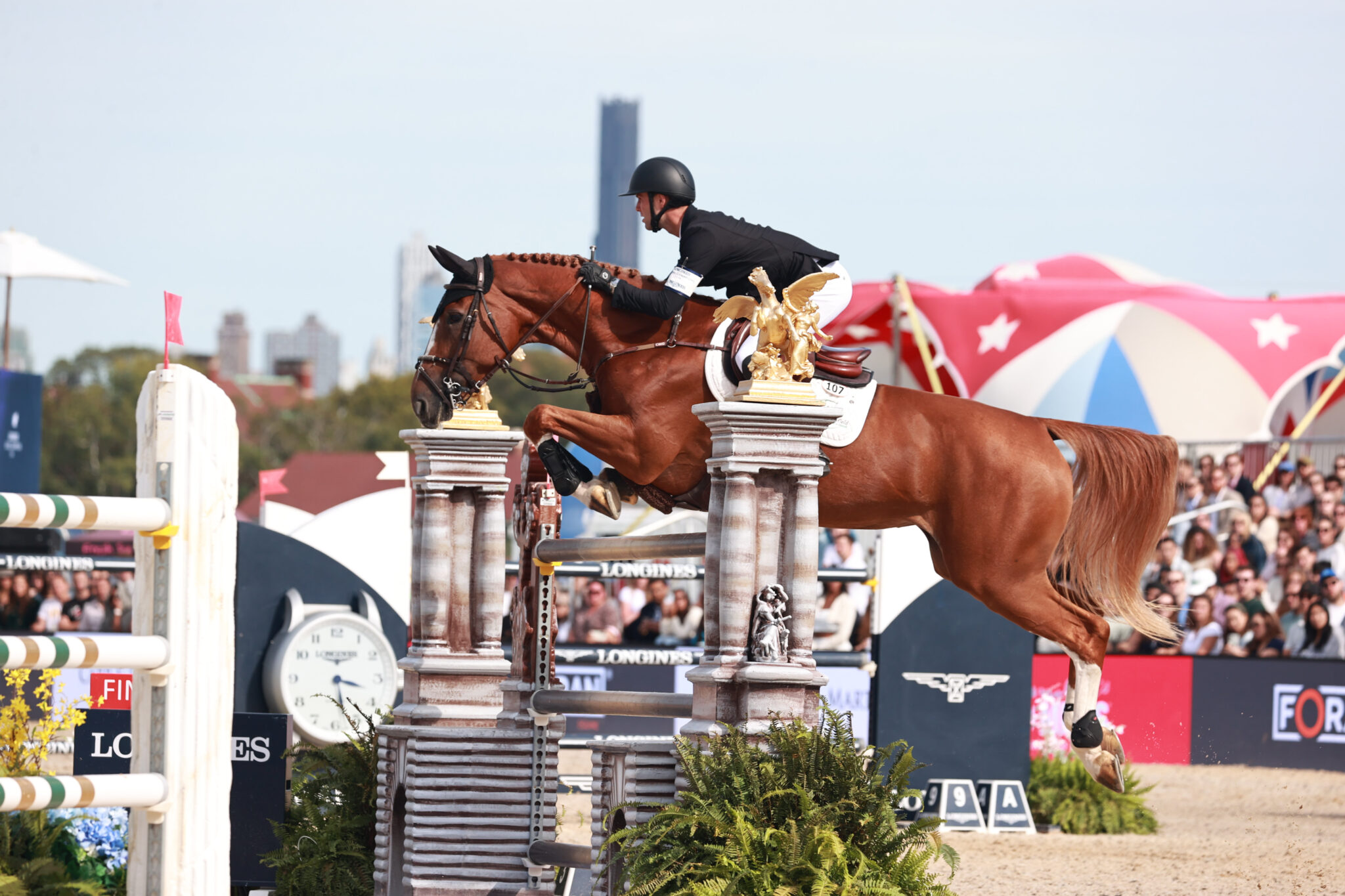 Currying Combs and Favor
