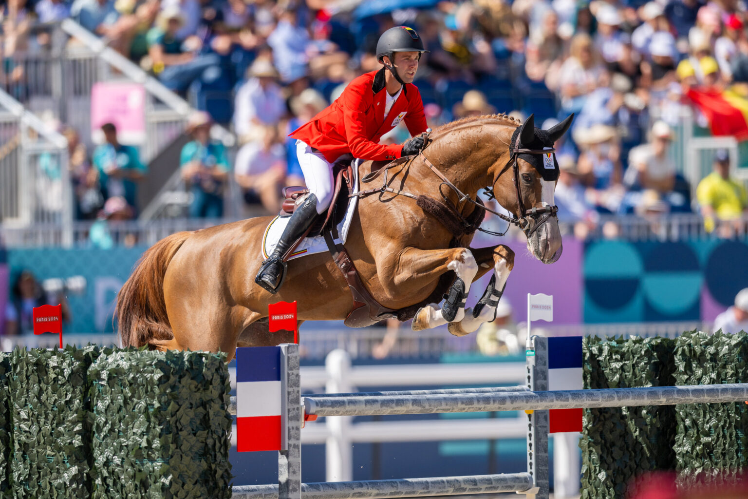 The Versatile History of Horsehair