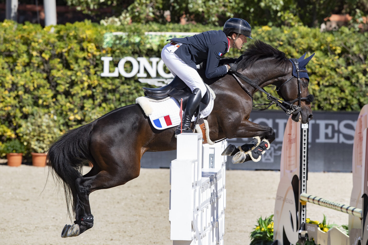 Which Grand Prix Horses Posted the Most 1.60m Clears in 2025?